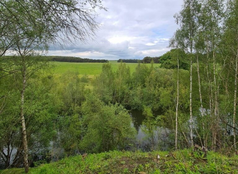 Rockingham Forest Park | Beautiful Lodges & Log Cabins
