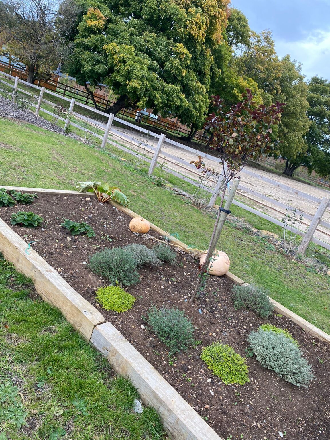 Rockingham Forest Park | Luxury Lodge Getaways